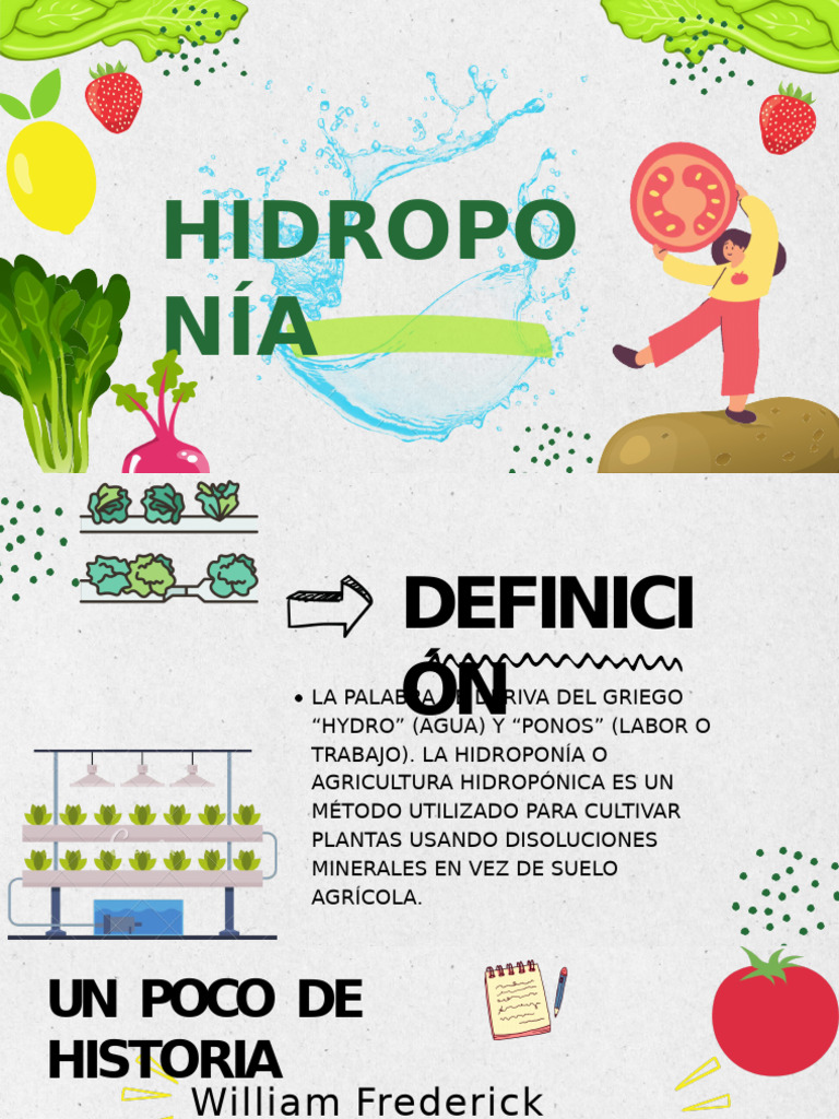 Hidroponia Ocm | PDF