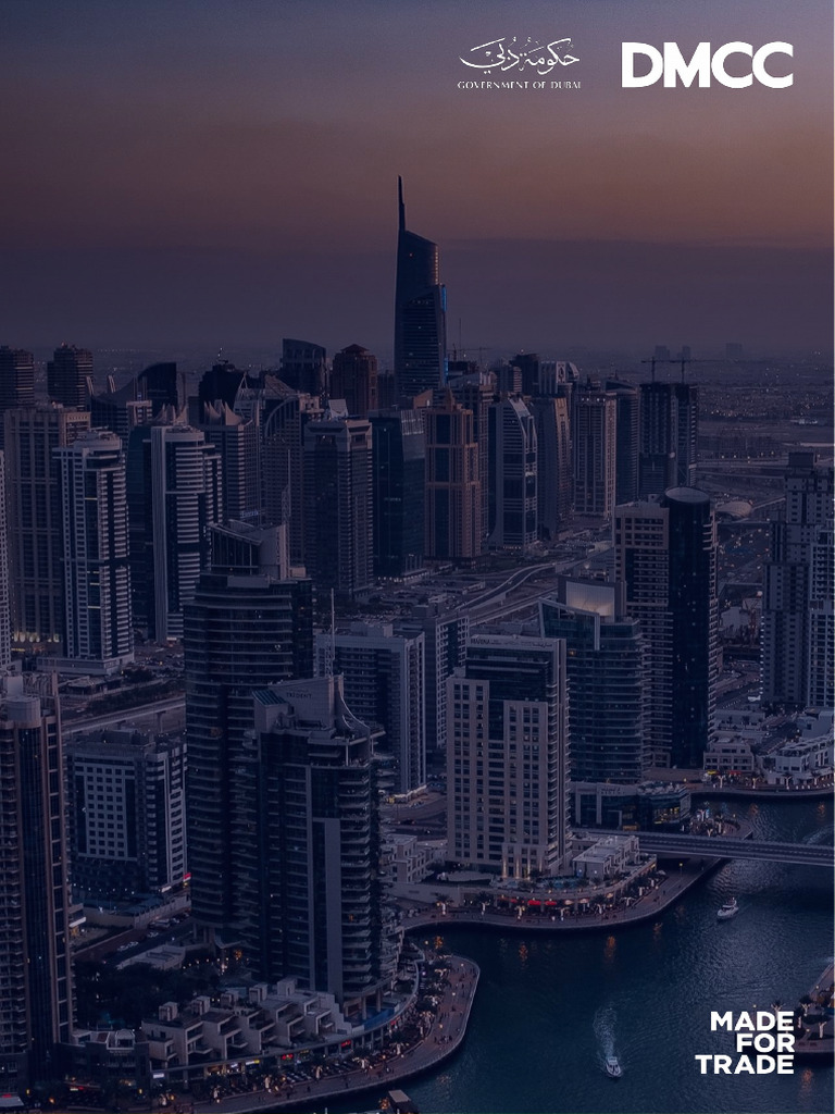 DMCC Company Setup Proposal - VA Activities | PDF