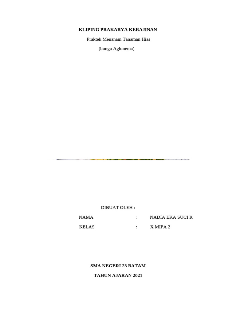 Laporan Dinda (PDF - Io) | PDF