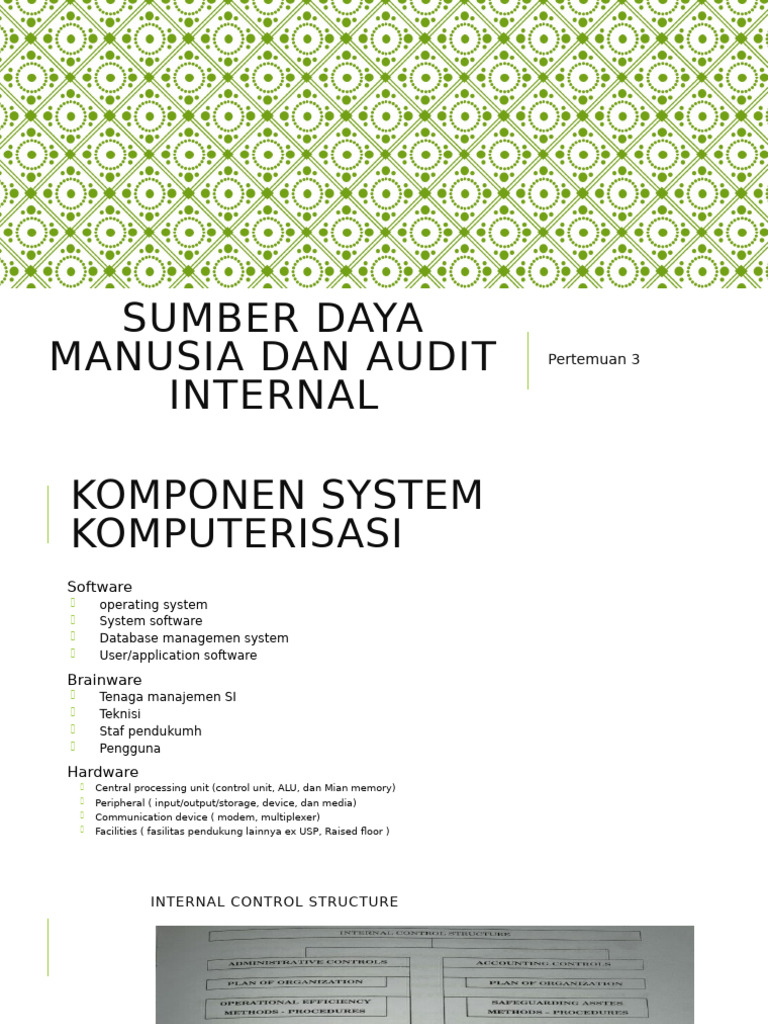 Sumber Daya Manusia Dan Audit Internal Pertemuan 3 | PDF