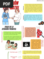 Place Diada Fetal | PDF | El embarazo | Parto