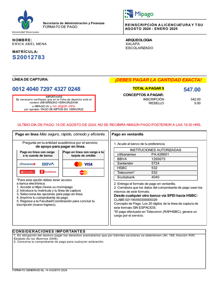 Formato de Pago-2 | PDF
