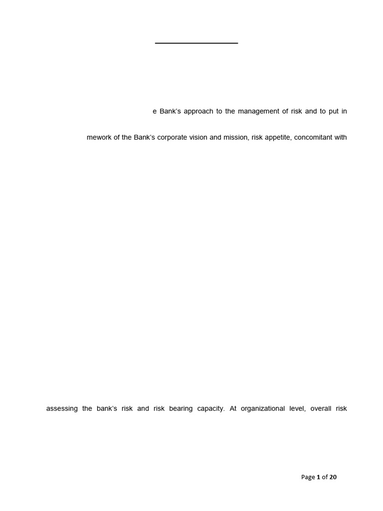 RBI-Risk-Management AC (Bord of 24.07.24 - Sub-01 | PDF | Market ...