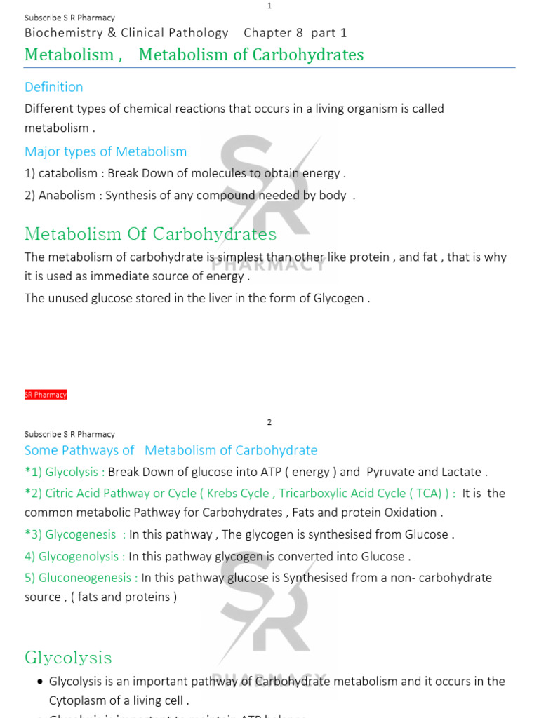 Biochemistry Chapter 8 | PDF
