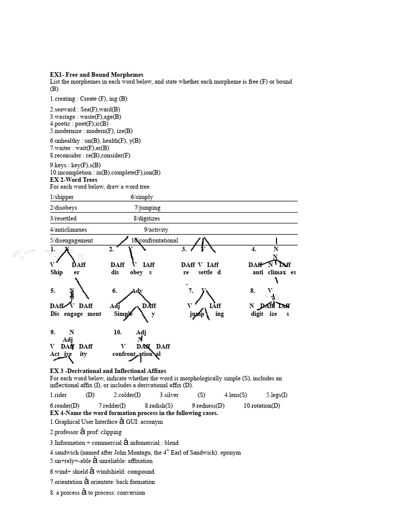 Morphology Assignment 2 | PDF