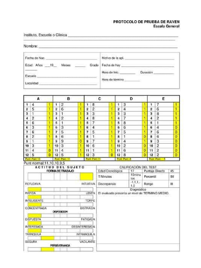 protocolo de prueba de raven | PDF