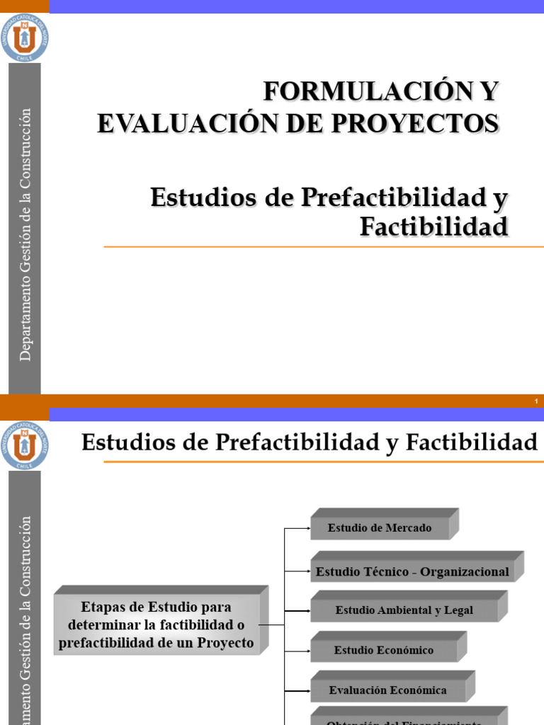Estudio de Prefactibilidad-Factibilidad | PDF