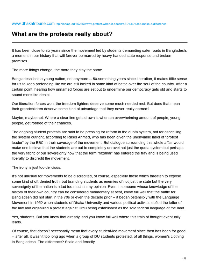 What Are The Protests Really About | PDF