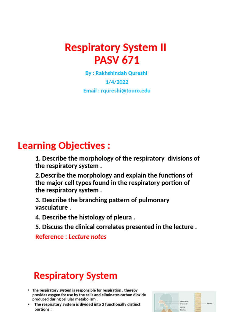 Respiratory System II | PDF