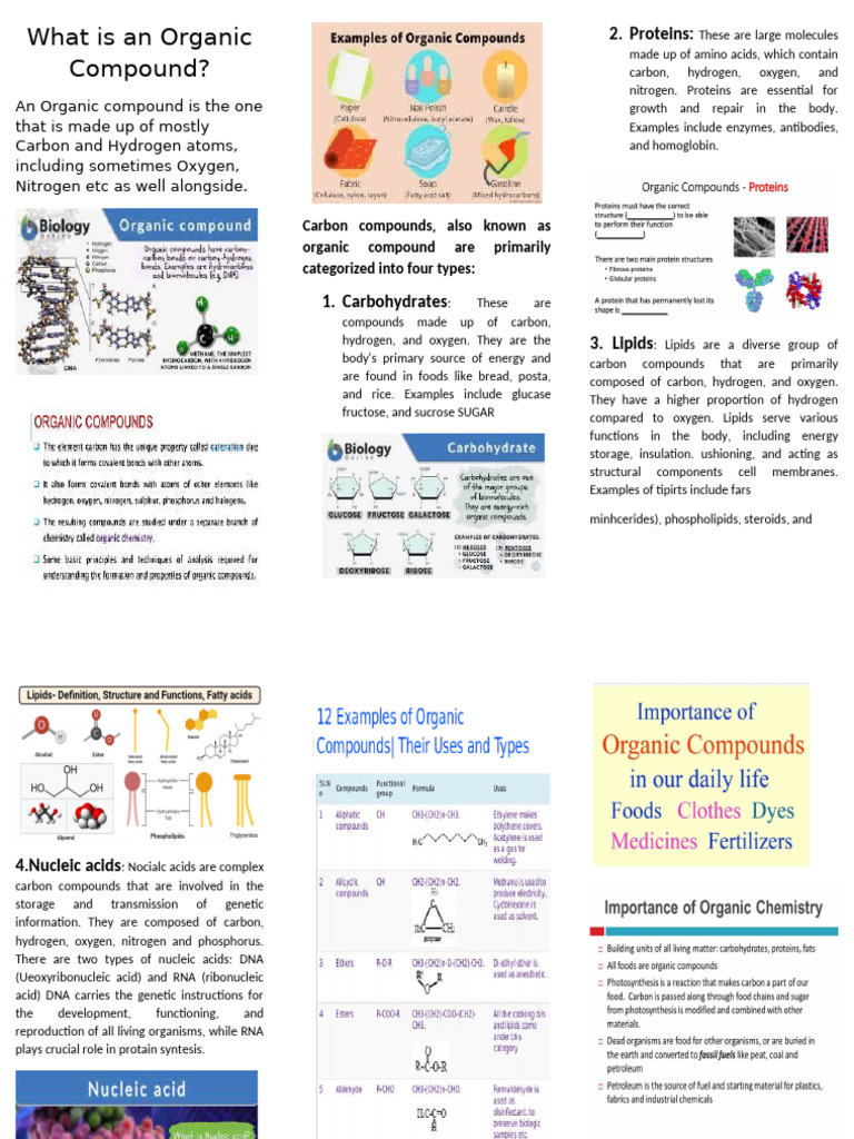 Understanding Organic Compounds | PDF | Proteins | Wellness