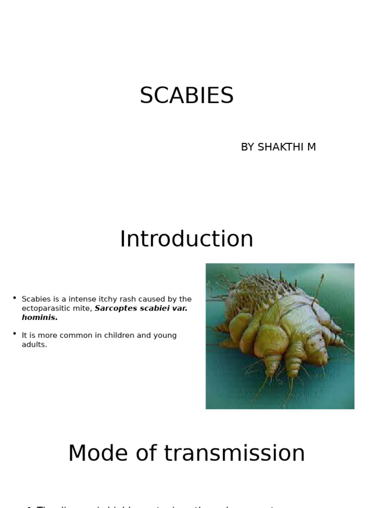 Dermatology - Scabies | PDF