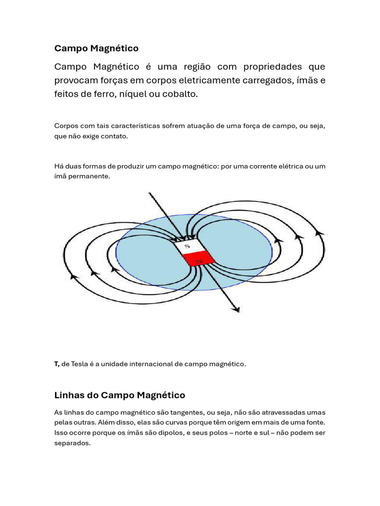 Campo Magnético e As Suas Linhas | PDF