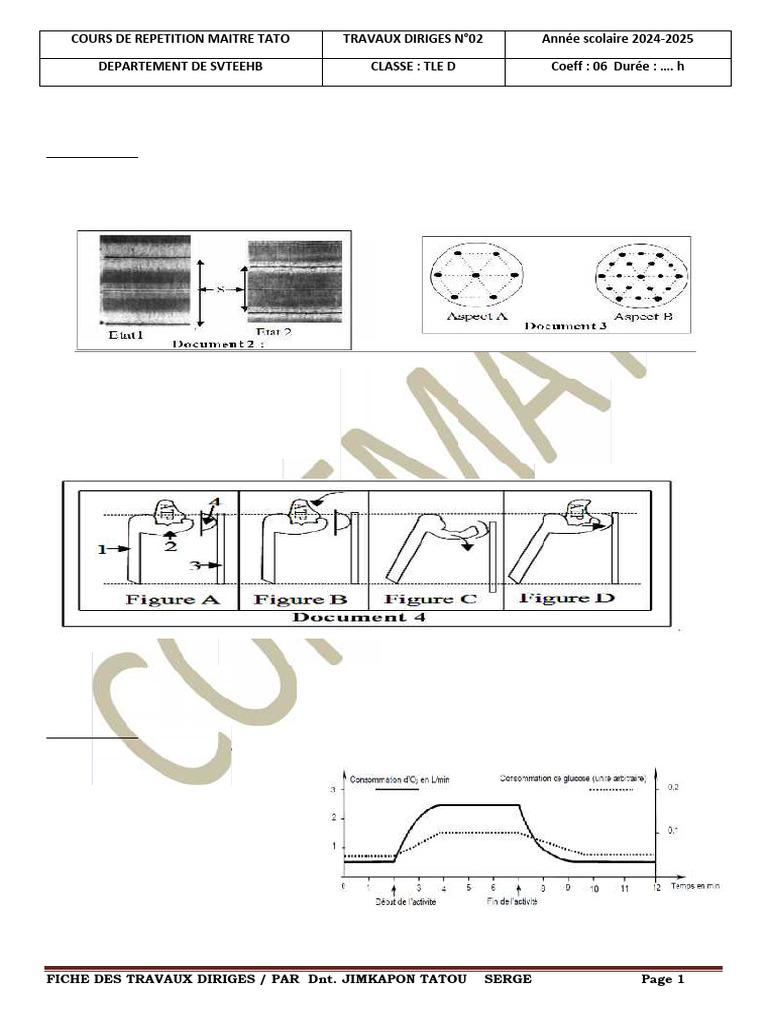 TleD COREMAT-2 | PDF