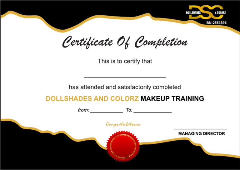 DSC Cerificate | PDF