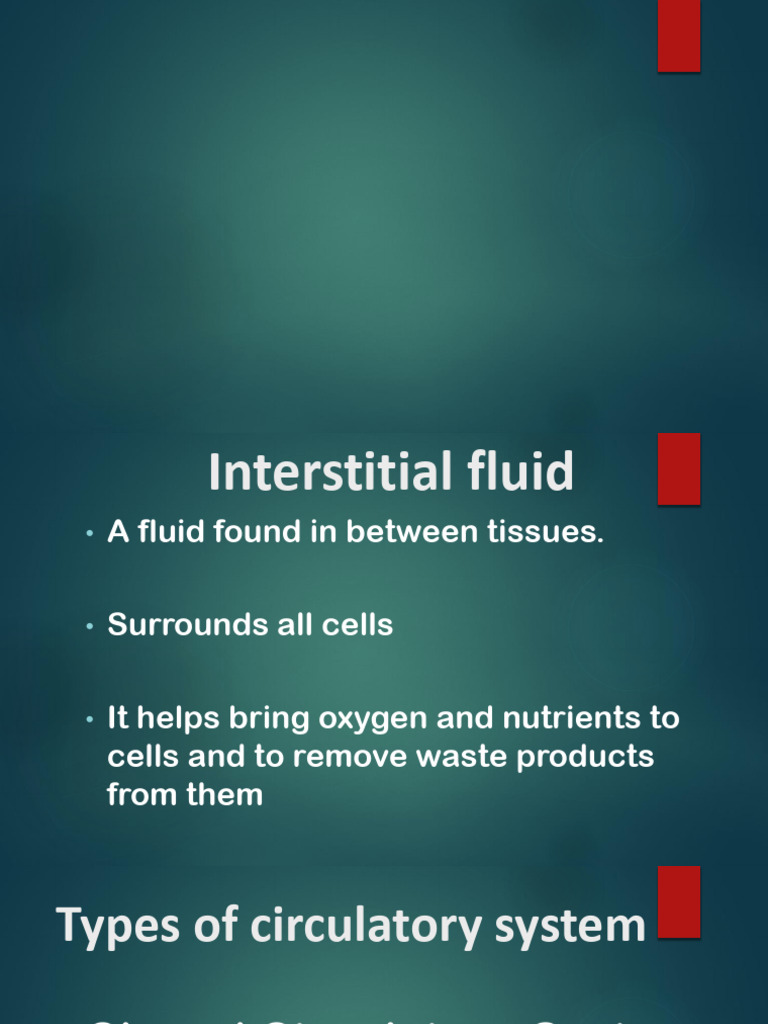 Circulatory System 1 Pdf Heart Atrium Heart