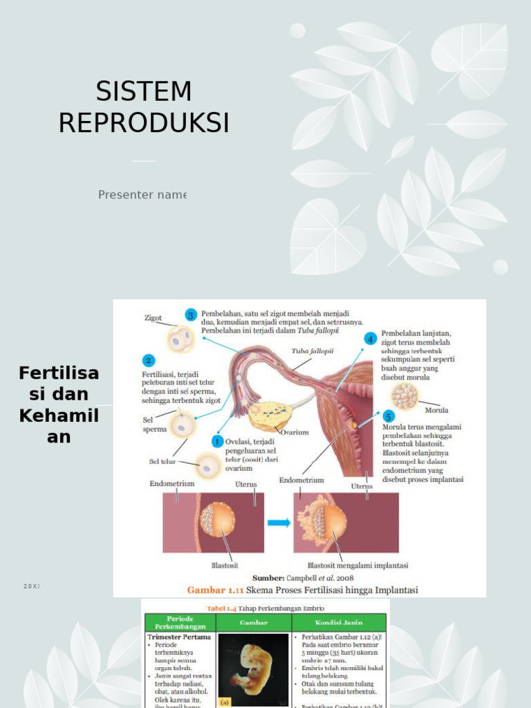Penyakit Sistem Reproduksi | PDF