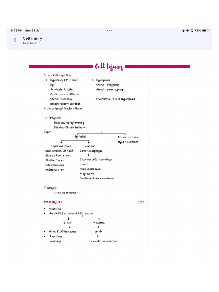 Cell Injury Pathology | PDF
