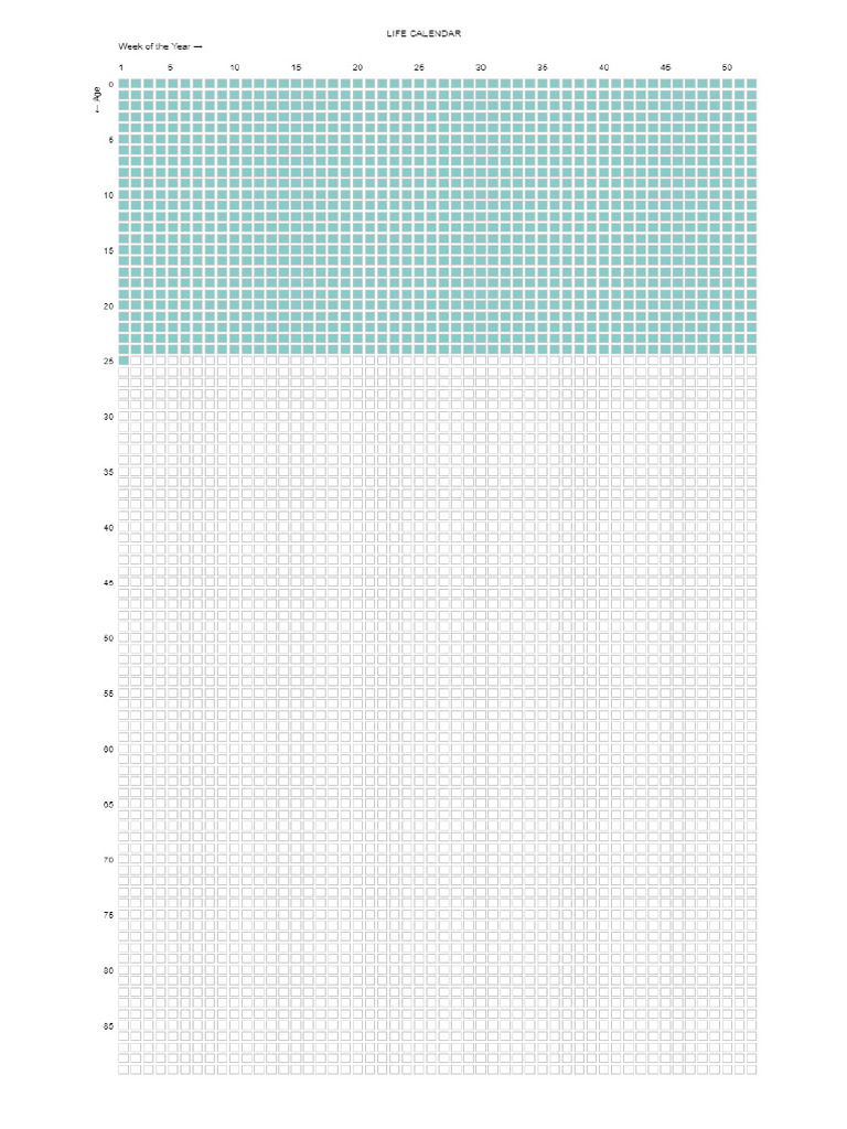 My Life Calendar | PDF