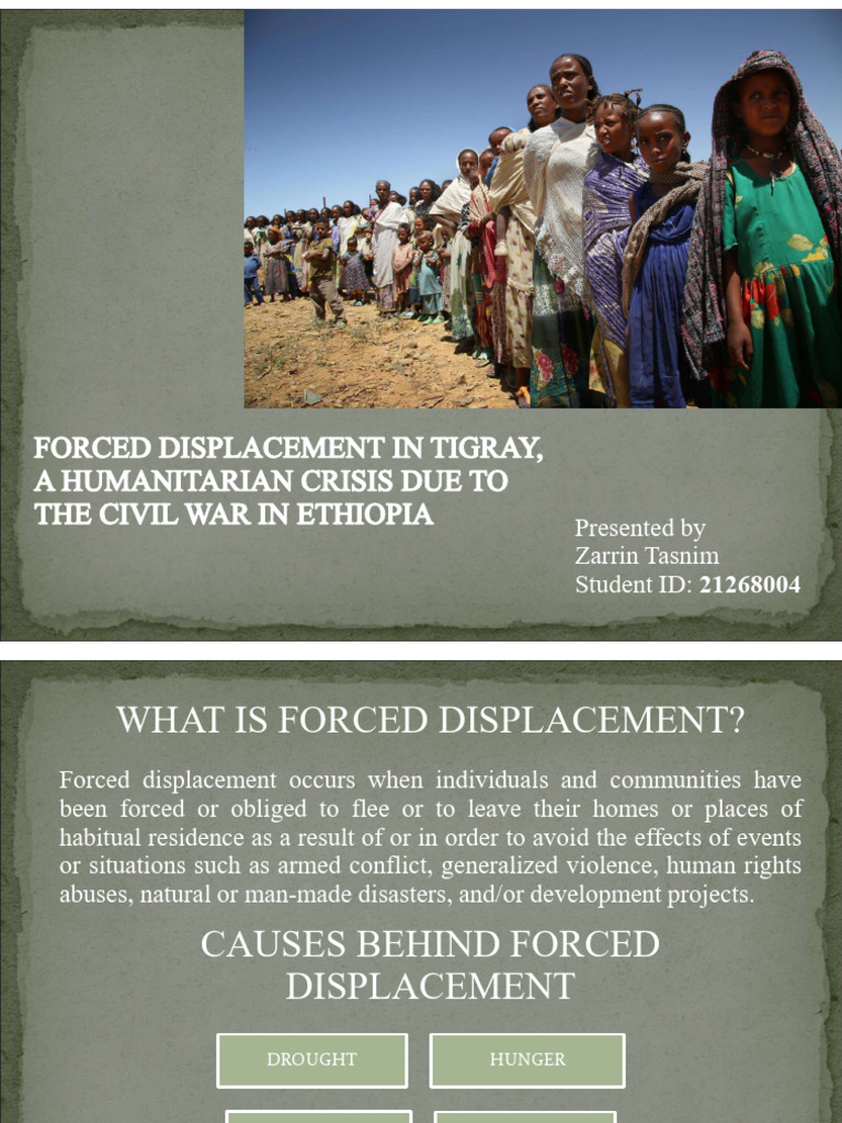 Forced Displacement in Tigray | PDF | Refugee | Human Migration