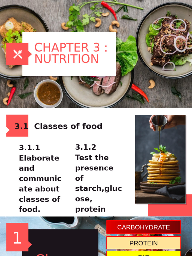 Nutrition | PDF