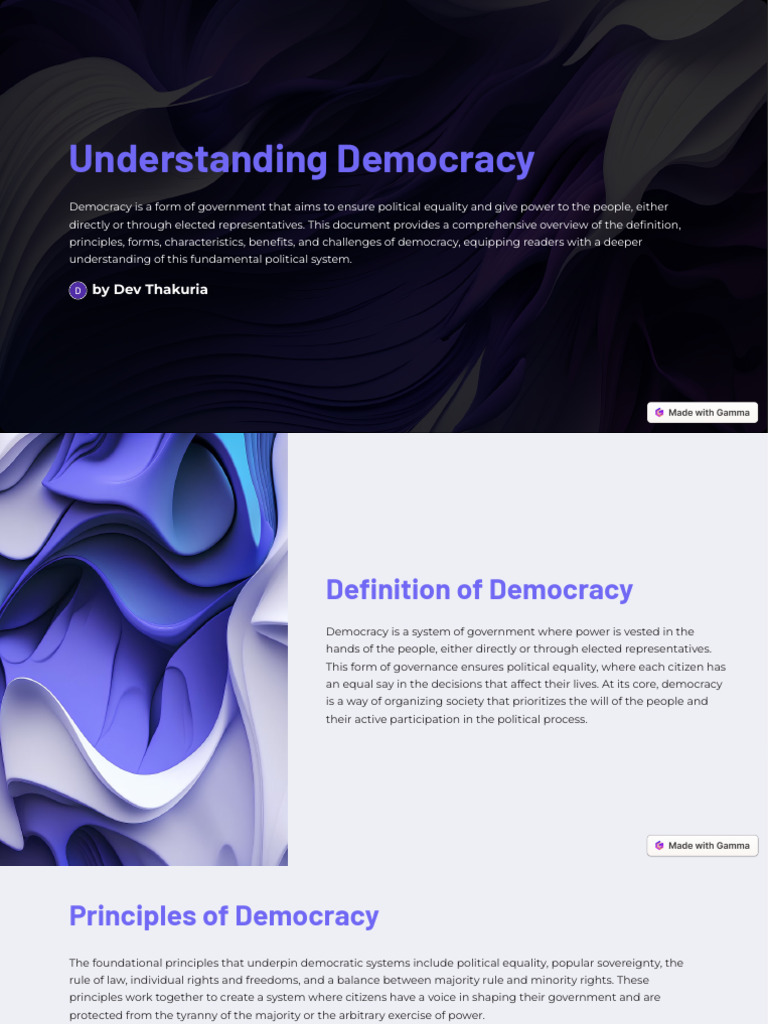 Understanding Democracy | PDF