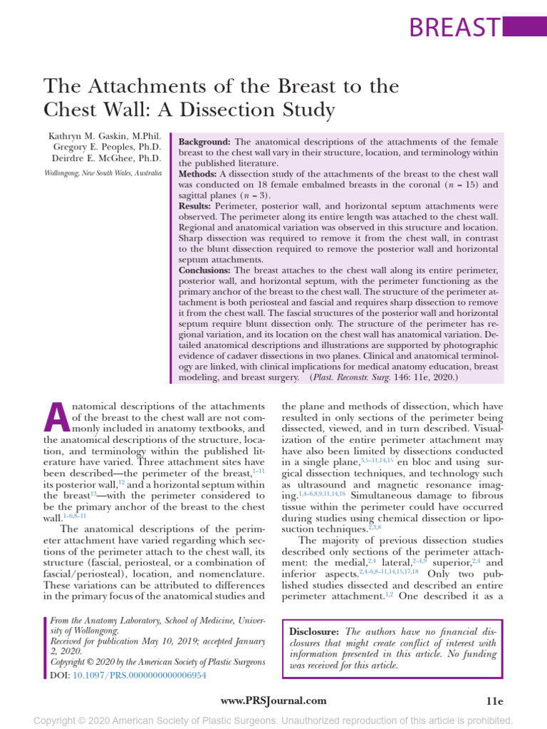 Anatomy of Breast - Attachments of The Breast To The Chest Wall | PDF