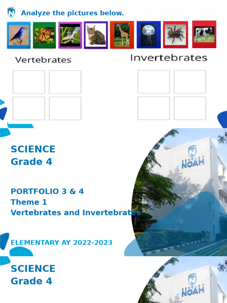 Grade 4_PPT Portfolio 3&4_Science_Theme 1_Term 1_2022_2023docx | PDF