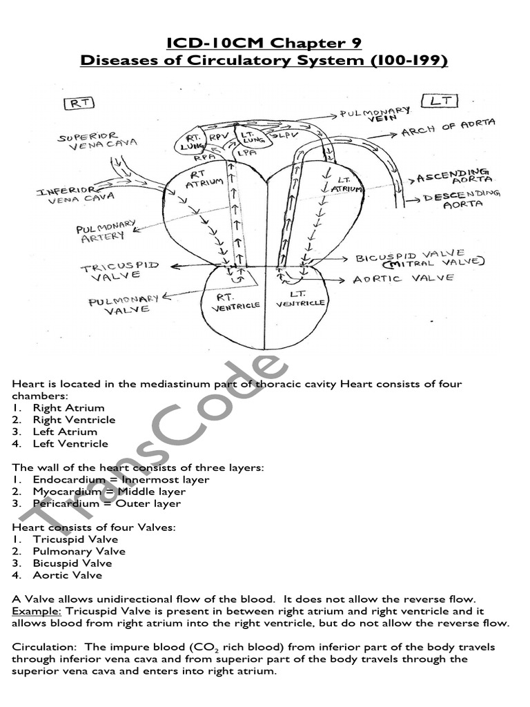 ICD Chapter 9 Notes | PDF