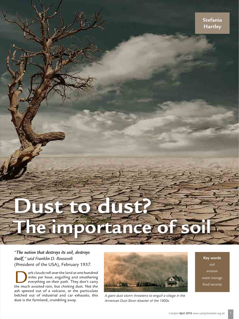Dust To Dust | PDF