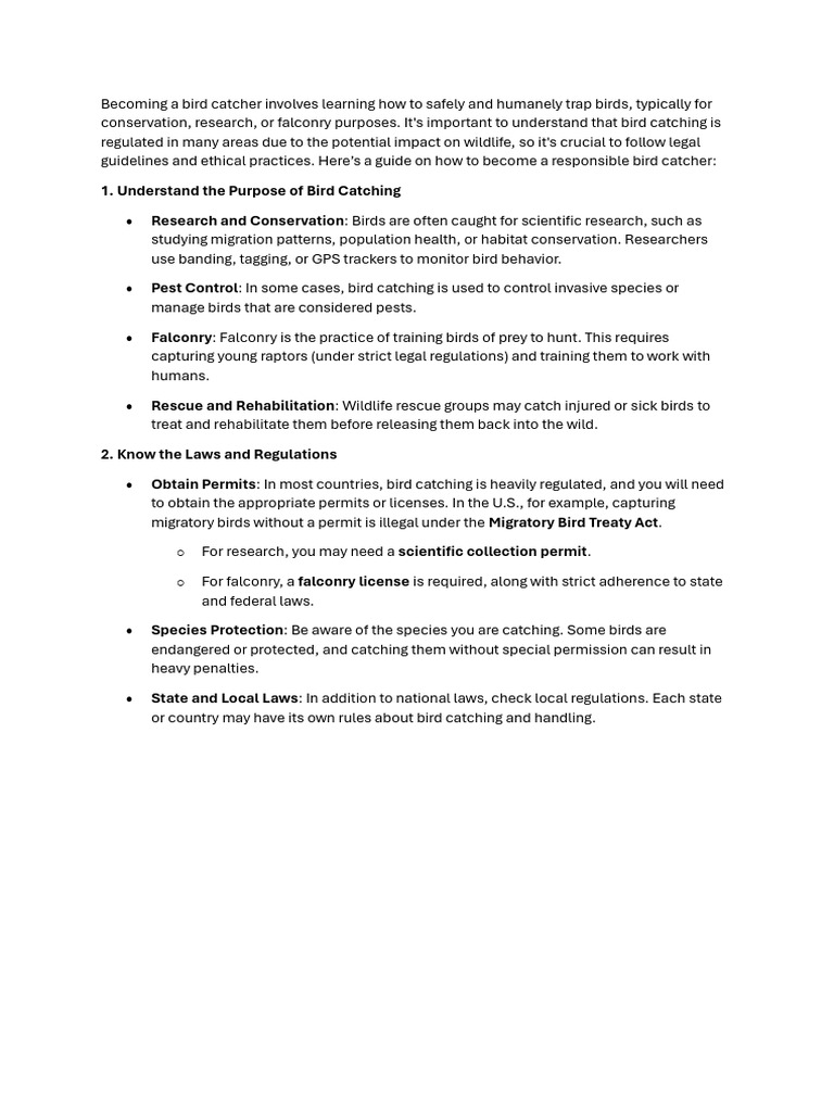 Becoming A Bird Catcher | PDF