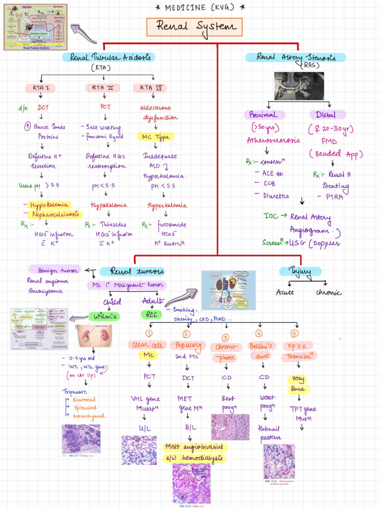 Medicine-Renal System (Mindmap) . | PDF