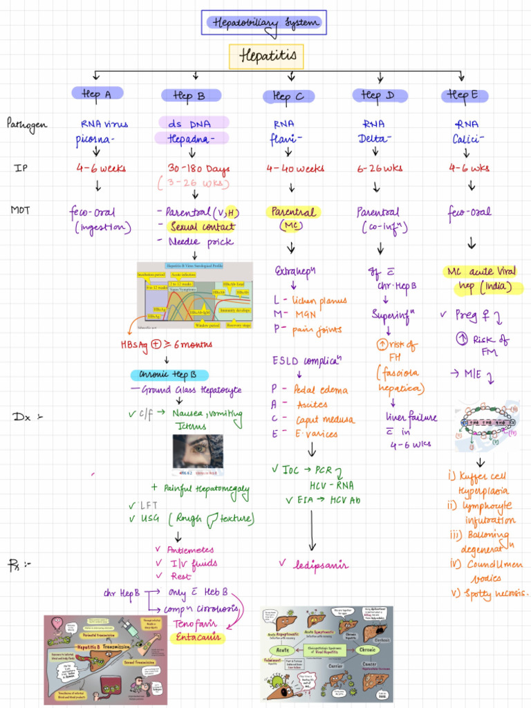 Medicine- Hepatobiliary System | PDF