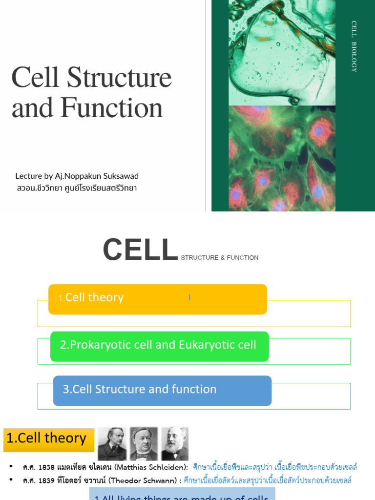 Cell Structure67 | PDF