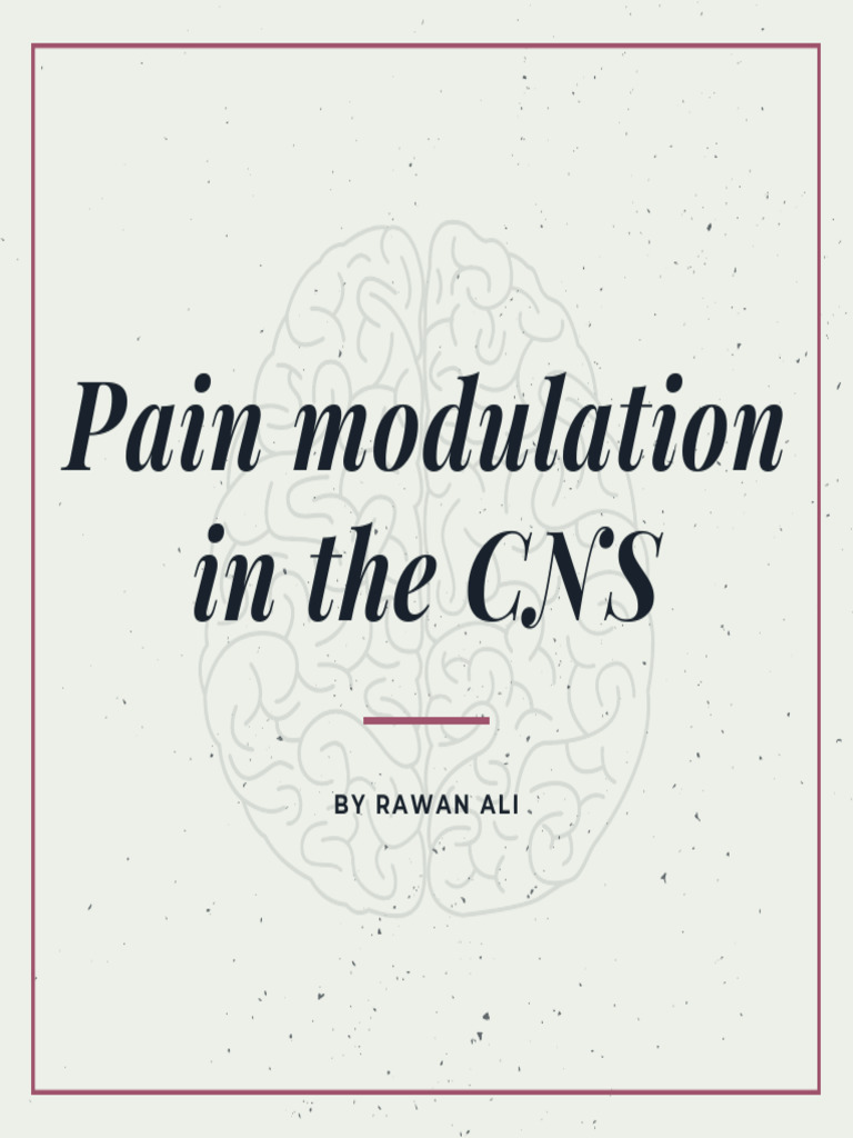 Rawan Ali Presentation | PDF