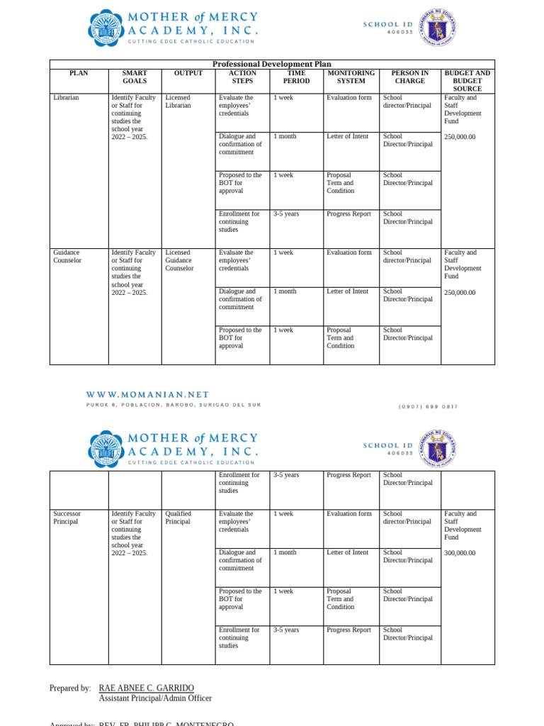 Profeesional Development Plan | PDF
