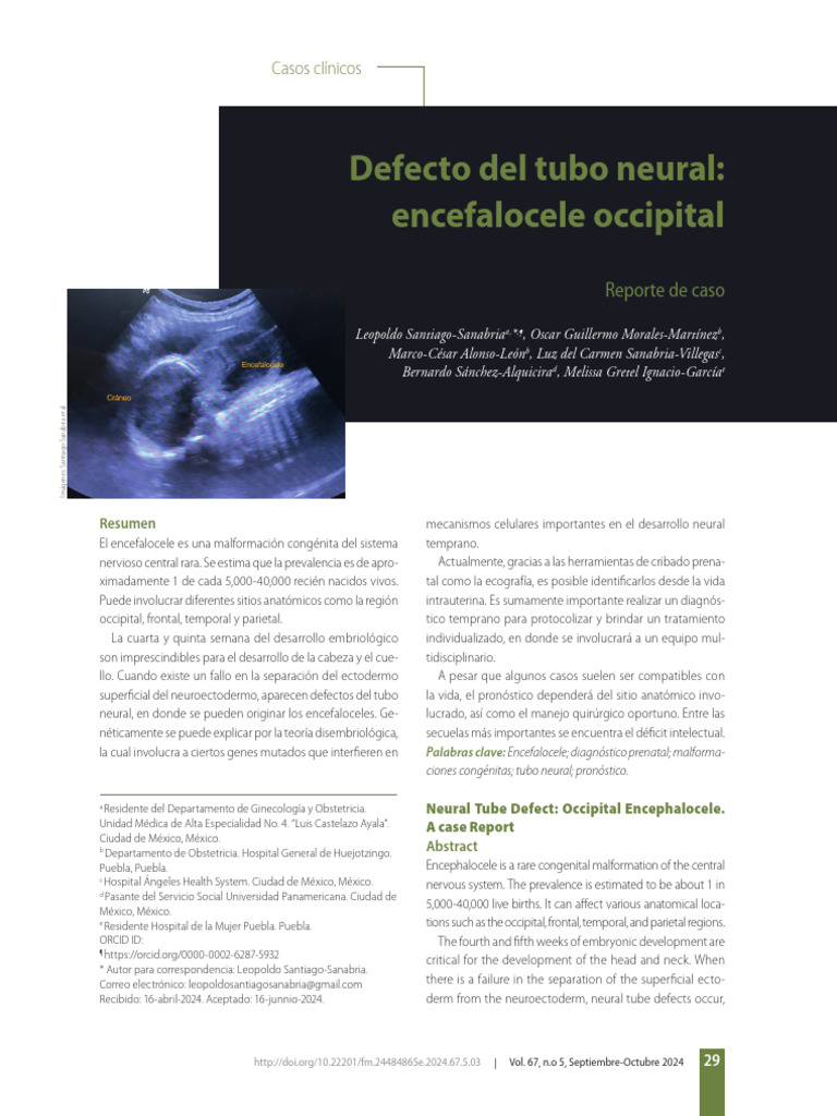 04_defecto del tubo neural- encefalocele occipital2 | PDF