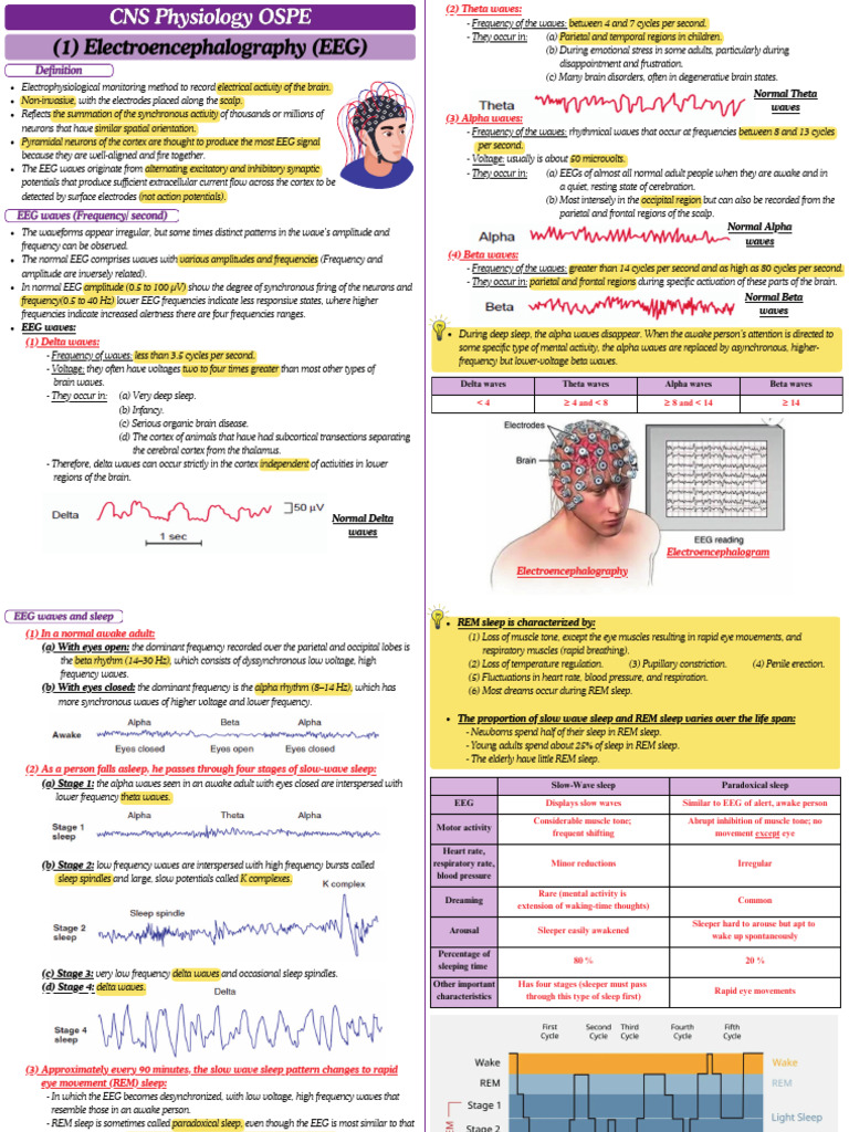 Physio Prelab Lec 1 CNS | PDF