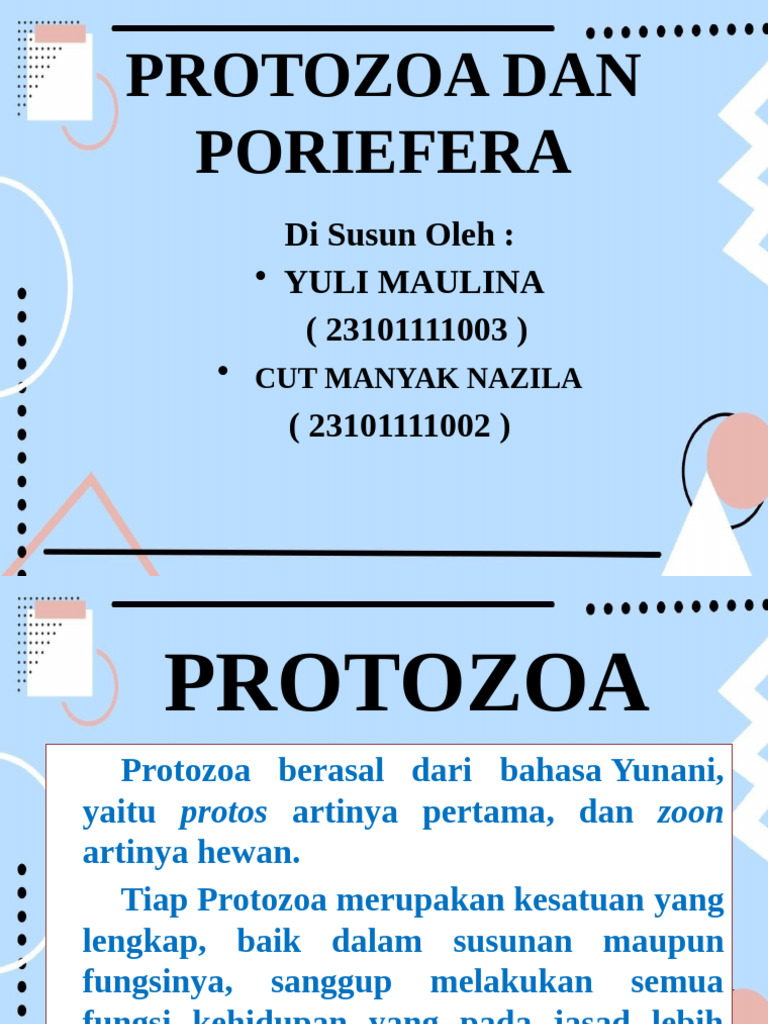 Yuli Maulina (23101111003) Dan Cut Manyak Nazila (23101111002) Protozoa Dan Poriefera | PDF