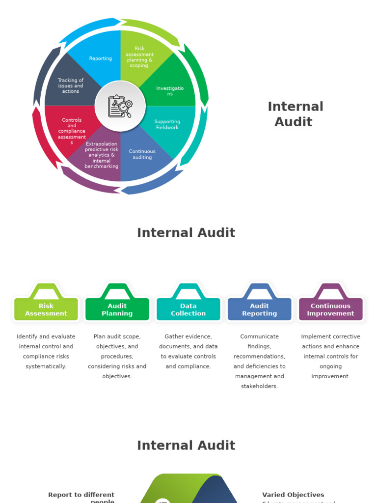 SlideEgg 200574-Internal Audit | PDF