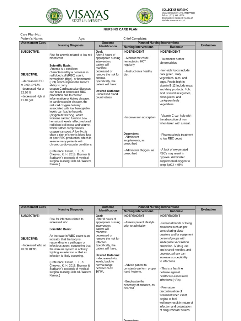 ZZZ NCP-Format (Final) | PDF