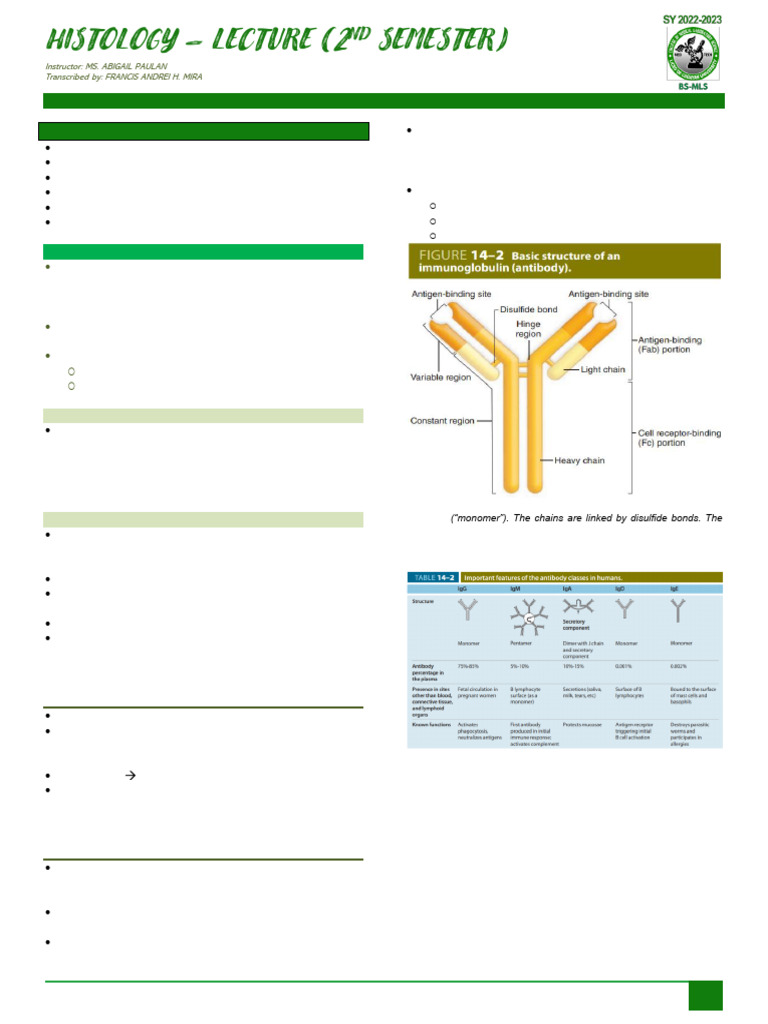 LYMPHOID TISSUE - HISTO Lec - MLS 2E | PDF | Lymph Node | Lymphatic System