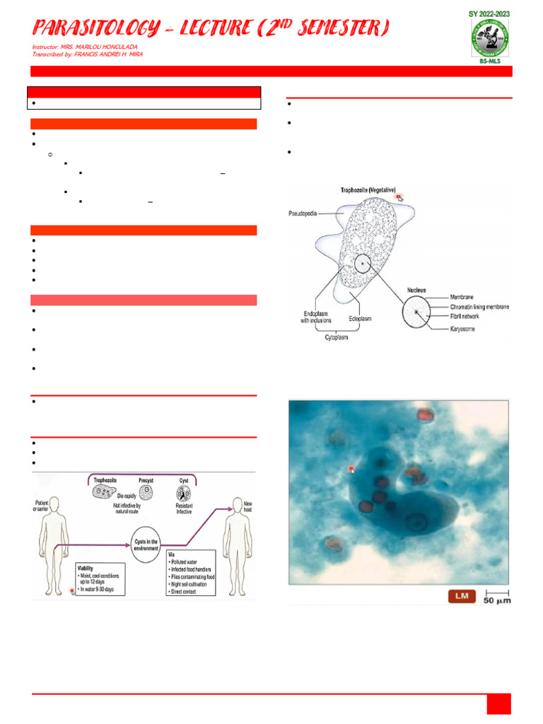 Protozoa para Lec Mls 2e | PDF