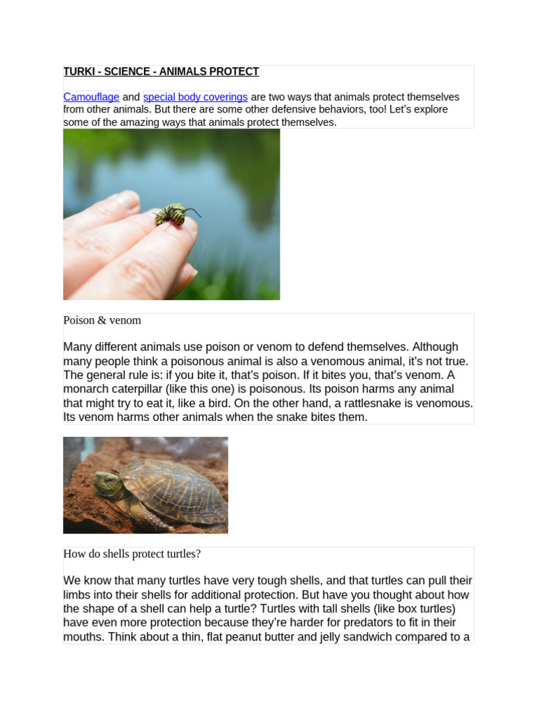 Animals Protect | PDF | Home & Garden