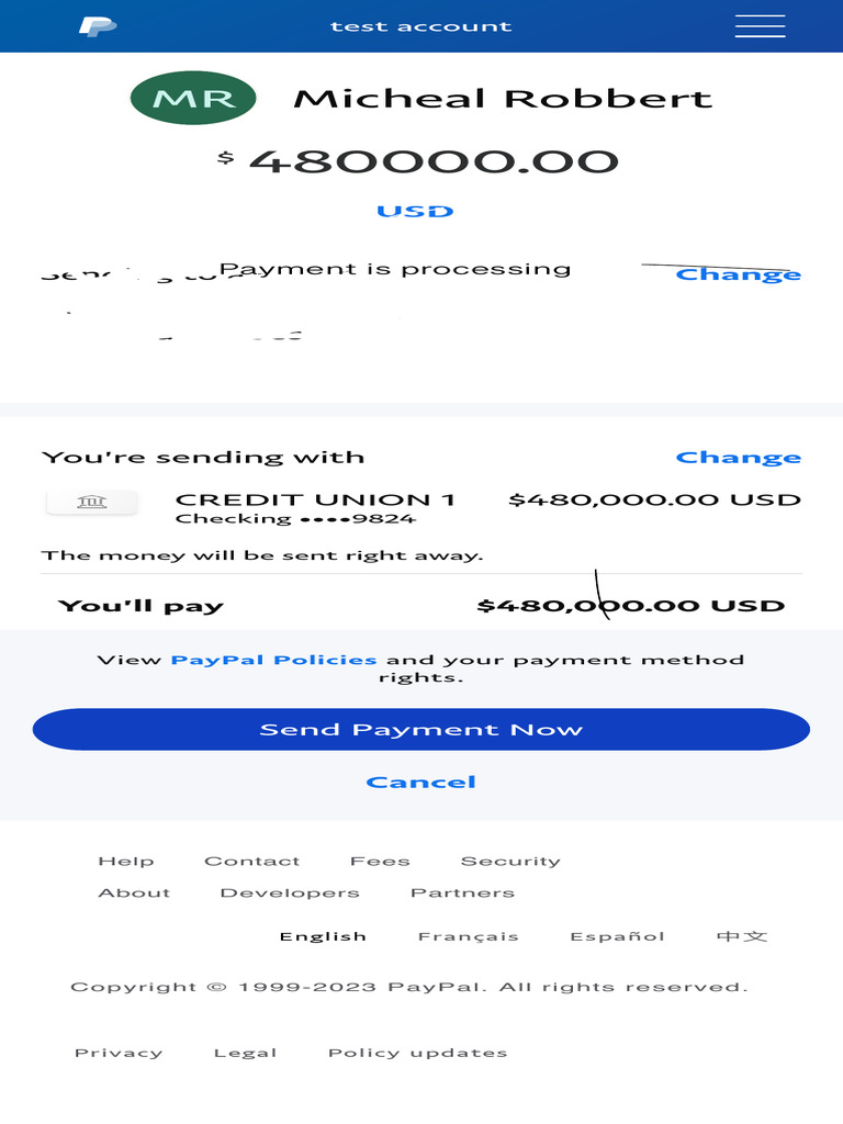 PayPal Send Money Preview | PDF