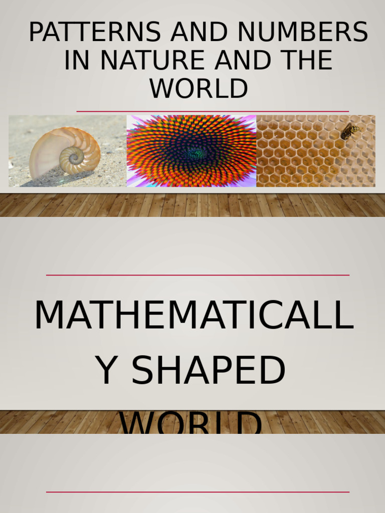 Patterns and Numbers in Nature and The World | PDF