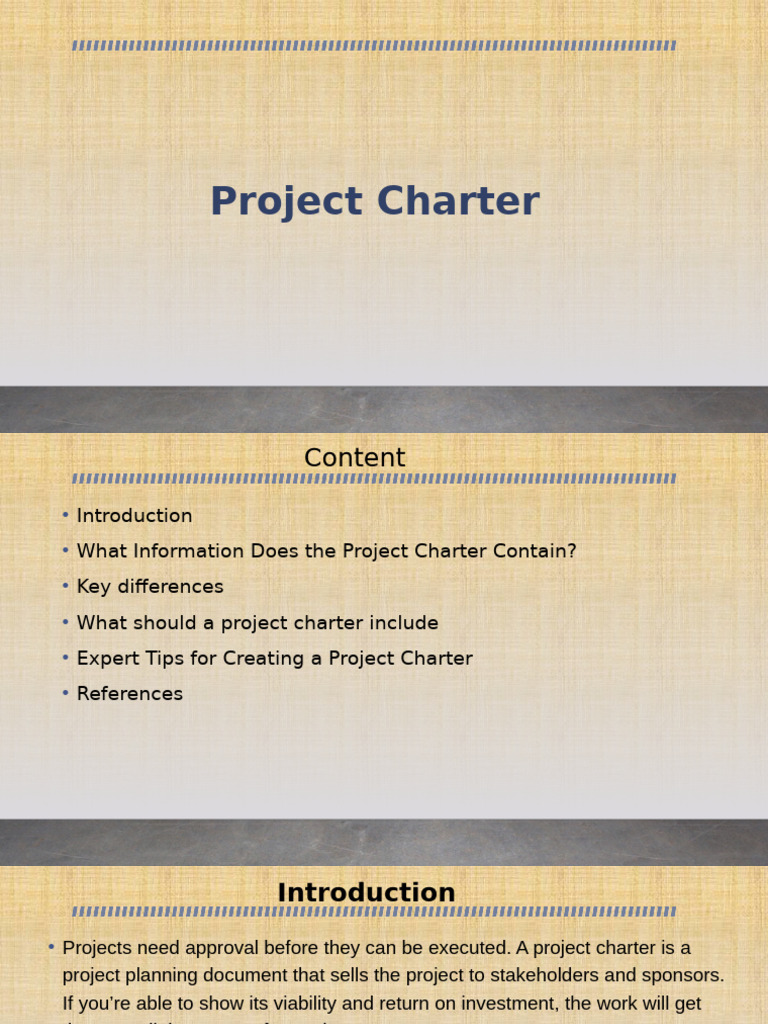 Project Charter Seminar | PDF
