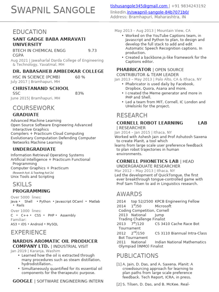 Deedy Resume Ideal | PDF