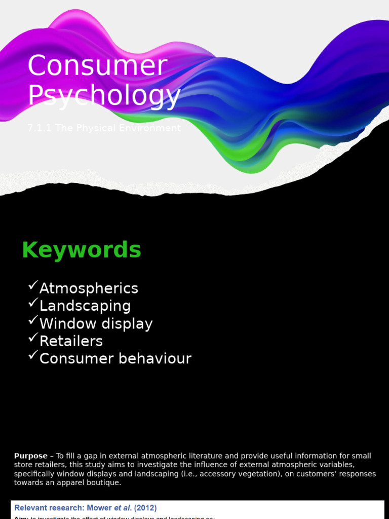Lesson 2 - Consumer Psychology | PDF