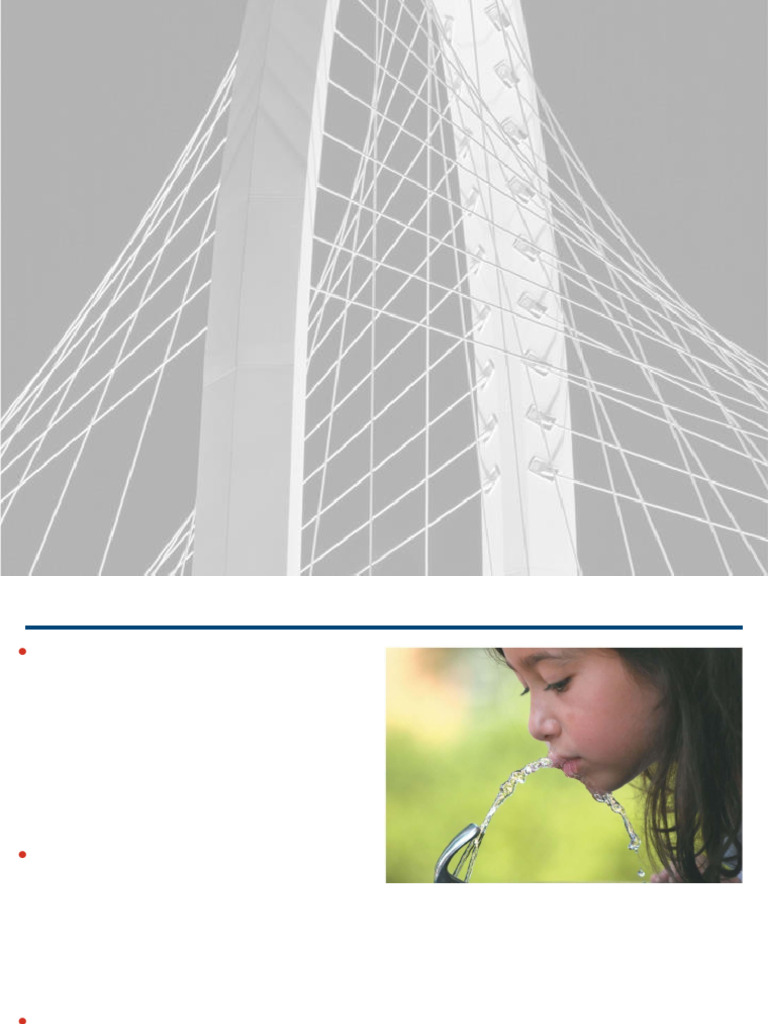 Final Electric Charge and Electric Field | PDF