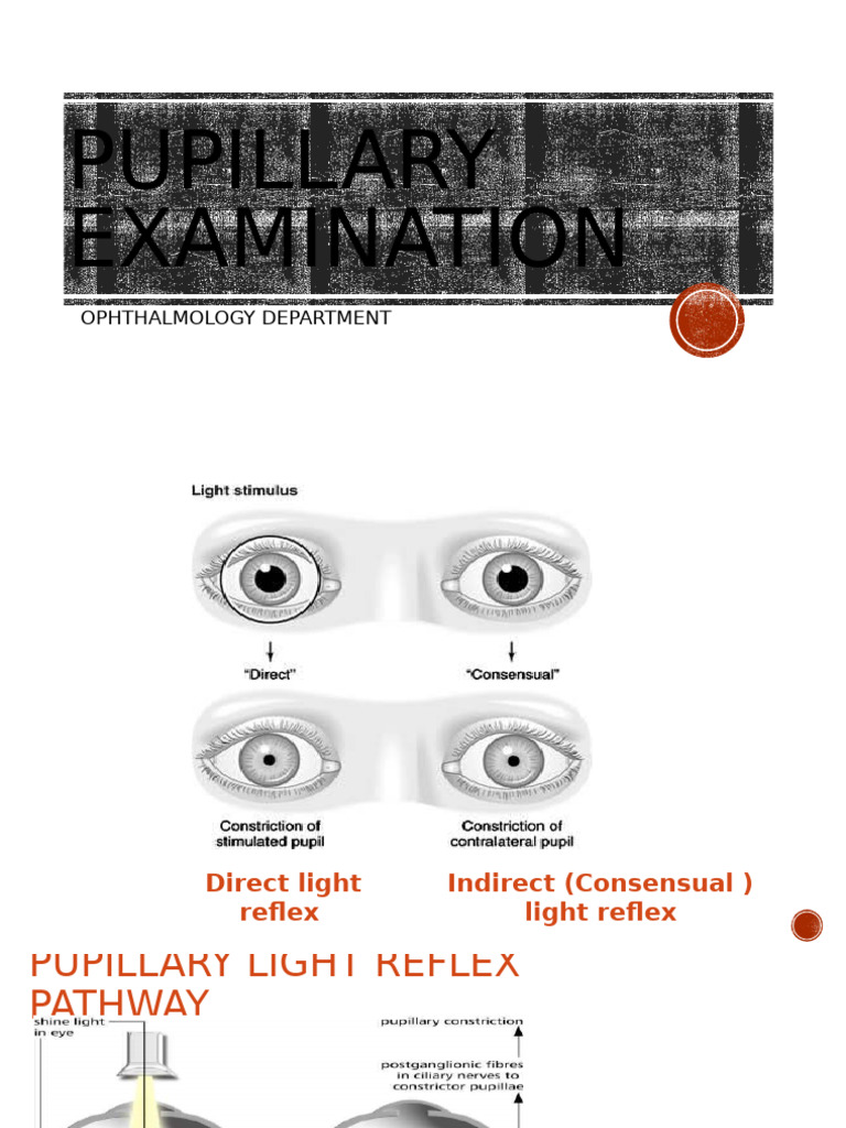 Pupillary Ex | PDF